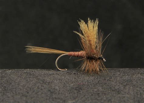 Image result for Red Quill Fly Pattern