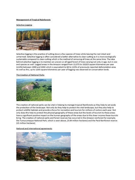 Image result for Selective Logging