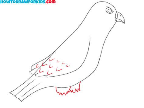 Image result for Simple Drawing of a Hawk