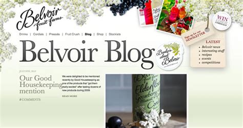 Image result for Blog Web Design Example