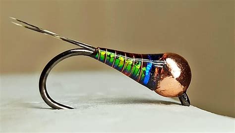 Image result for Segmented Perdigon