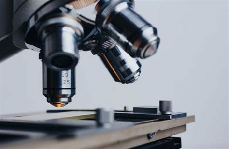 Image result for Biomedical Inventions