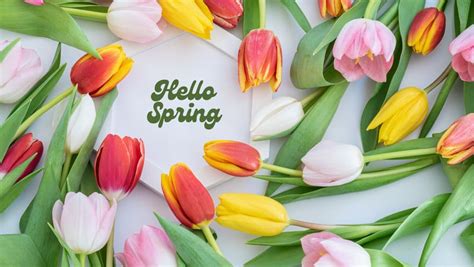 Image result for Hello Spring Facebook Cover