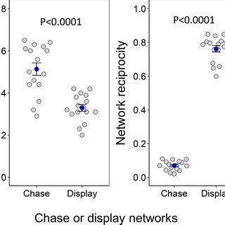 Image result for Community Network Frame History