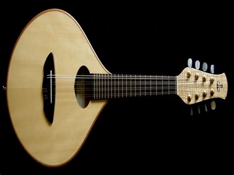 Image result for 10 String Mandolin