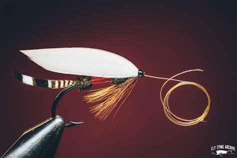 Image result for Royal Coachman Fly Pattern