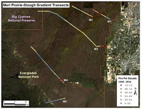Image result for Frequency Sampling Structure of Fire