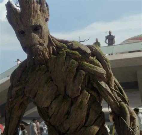 Image result for Groot Information