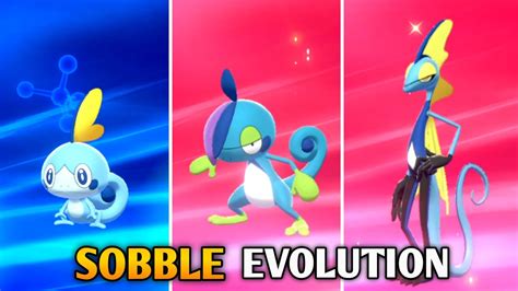Image result for Pokemon Drizzle Evolution Inteleo