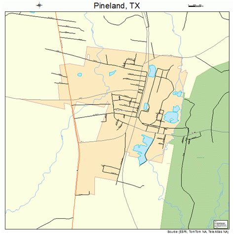 Image result for Pineland SC Map