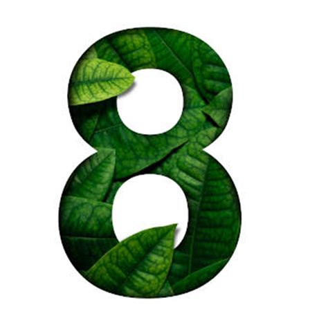 Image result for Life Path Number 8