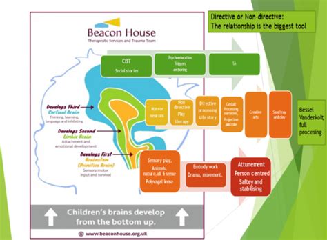 Image result for Developmental Trauma Bruce Perry