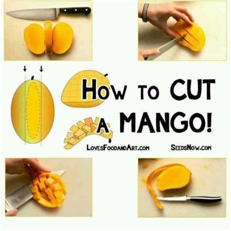 Image result for Importance of Using Visuals