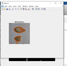 Image result for Seed Recognisition in Java Project