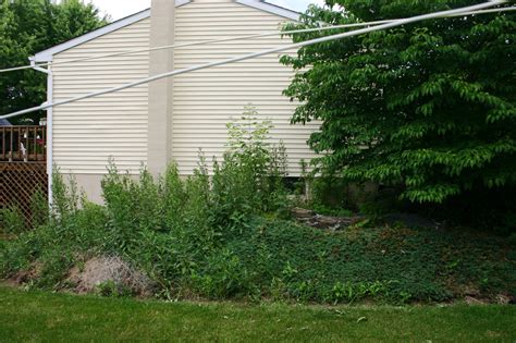 Thinking About Spring? - Indian Run Landscaping