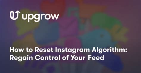 Image result for Reset Instagram Algorithm
