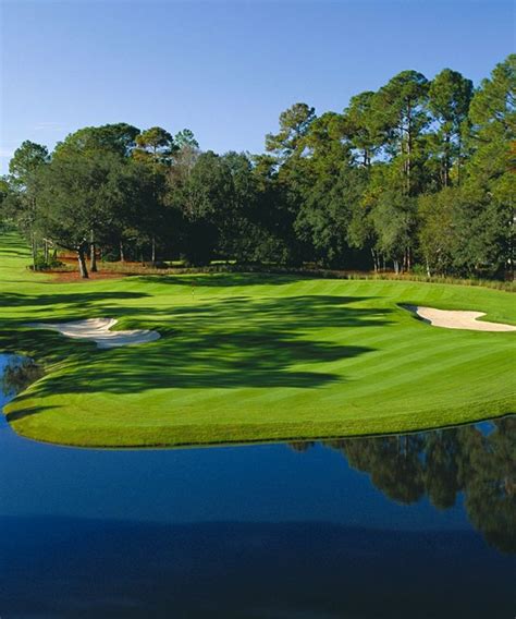 Image result for Ladies Golf Lessons