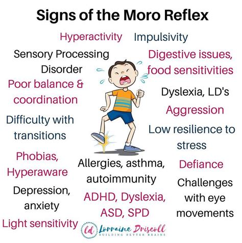 Image result for Moro Reflex Example
