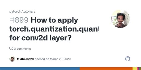 Image result for Quantize Dynamic Pytorch