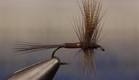 Image result for Red Quill Fly Pattern