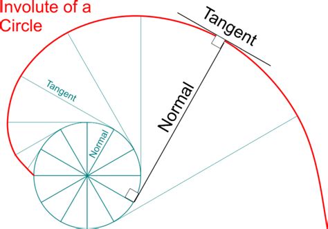 Image result for In Involute What Is Perpendicular