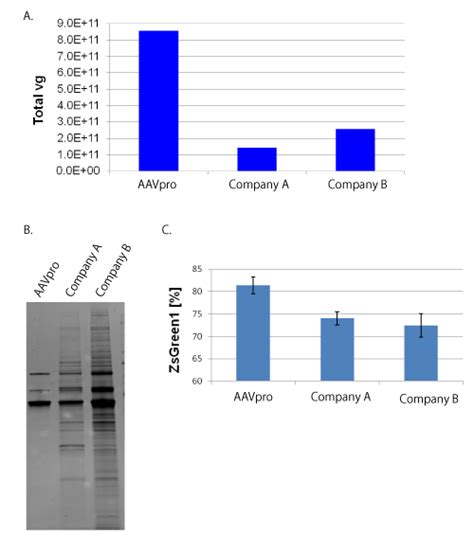 Image result for AAV Vector Purification Kit