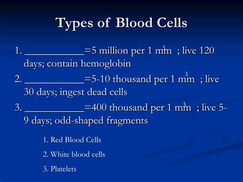 Image result for Circulation Test Procedure