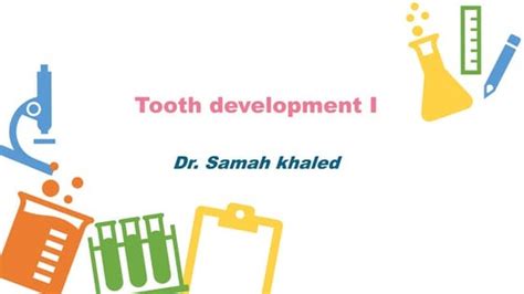 Image result for Tooth Development Video
