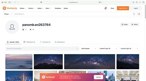 Image result for Vecteezy Tutorial