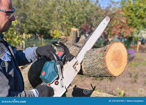 Image result for Tree Saws Hand