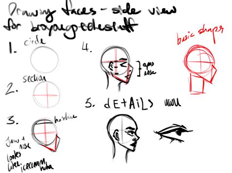 Image result for Side Veiw Head Tutorial