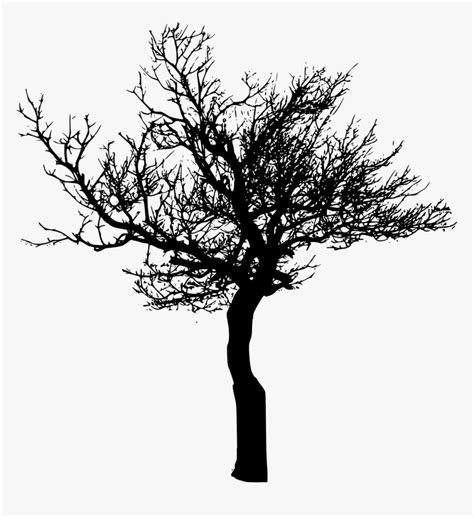 Tree-silhouette - Transparent Background Tree Silhouette Png, Png ...