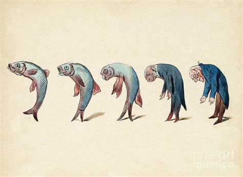 Image result for Human Evolution in Water Fish