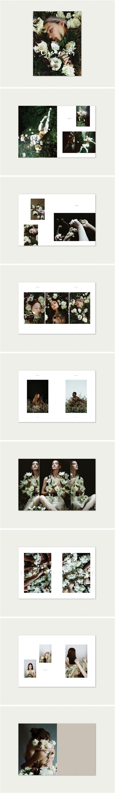 Image result for Clever Text Layout Design