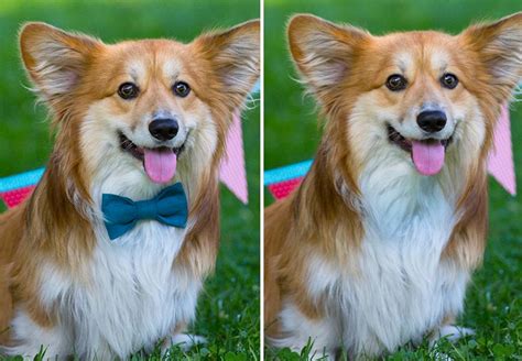 Image result for Image Manipulation