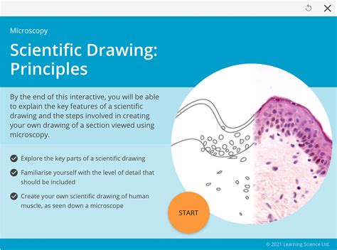 Image result for Basic Principles of Biomedical Drawing
