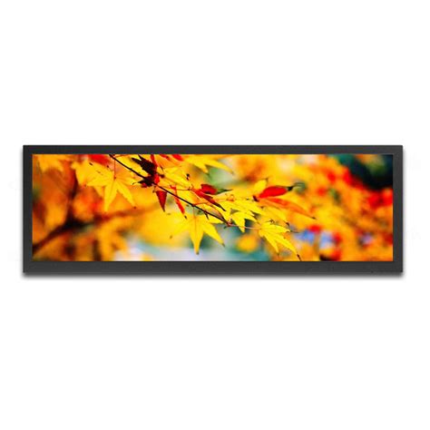 Image result for Stretch Display/Screen