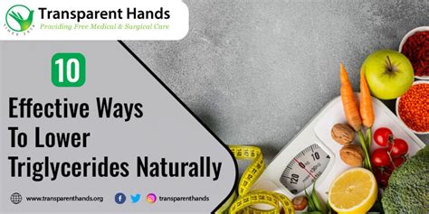 Image result for Reducing Triglycerides