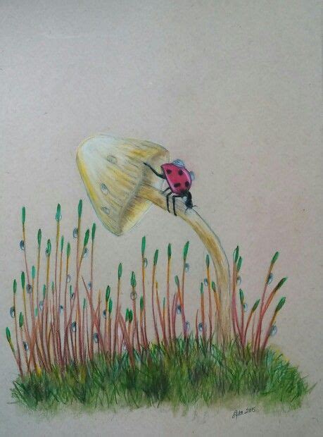 Image result for Ladybug Pencil Color