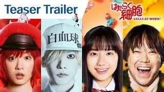 Image result for Cells at Work Net TV