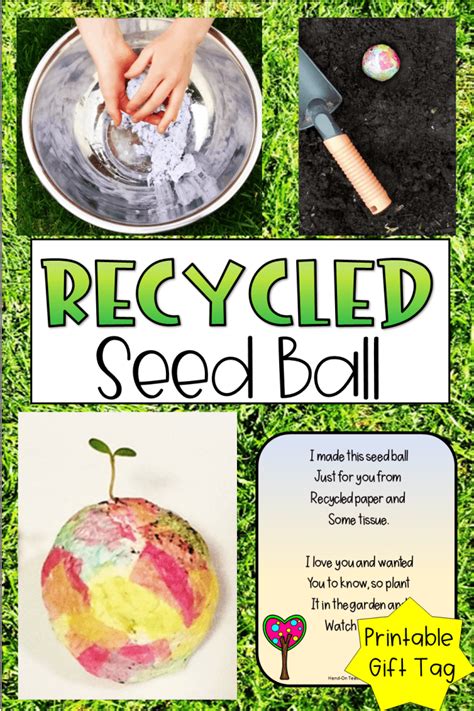 Image result for Spring Experiment