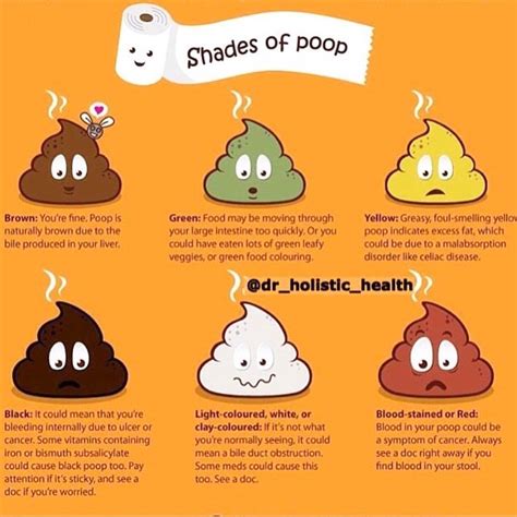 Image result for Yellow Stool Poop