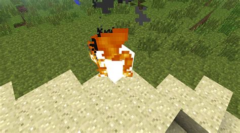 Image result for INF TNT Minecraft Java