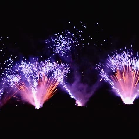 Image result for Pure Pyro Firework