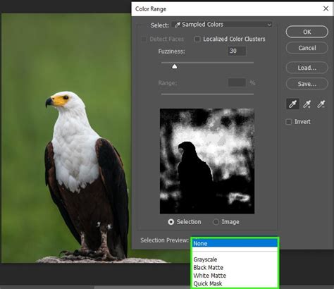 Image result for Make Color Transparent