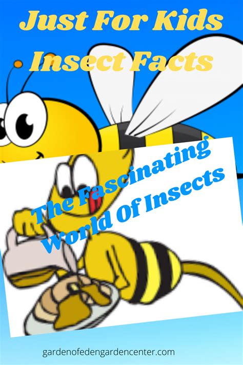 Image result for Insect Facts