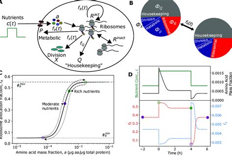 Image result for Dynamic System Resouce Allocation