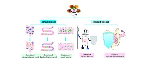 Image result for Colon Channel TCM