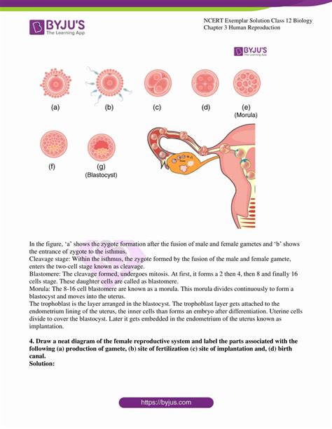 Image result for Class 12th Biology Chapter 3 Pyq
