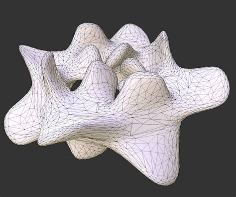 Image result for Mesh Shellify